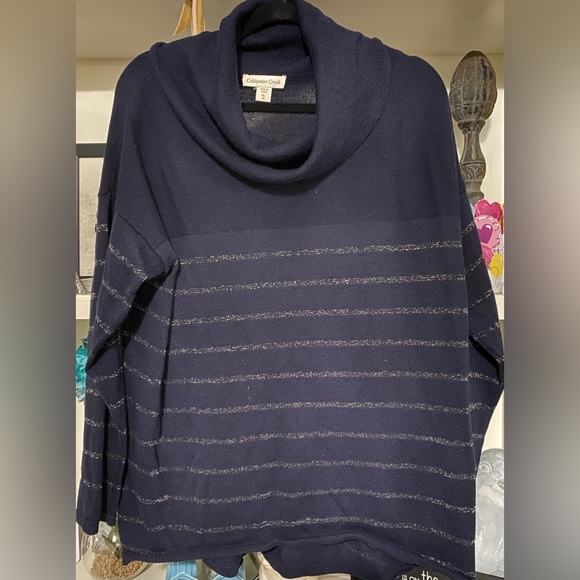 Coldwater Creek | Sweaters | Nwot Coldwater Creek Xl 6 Navy Blue ...